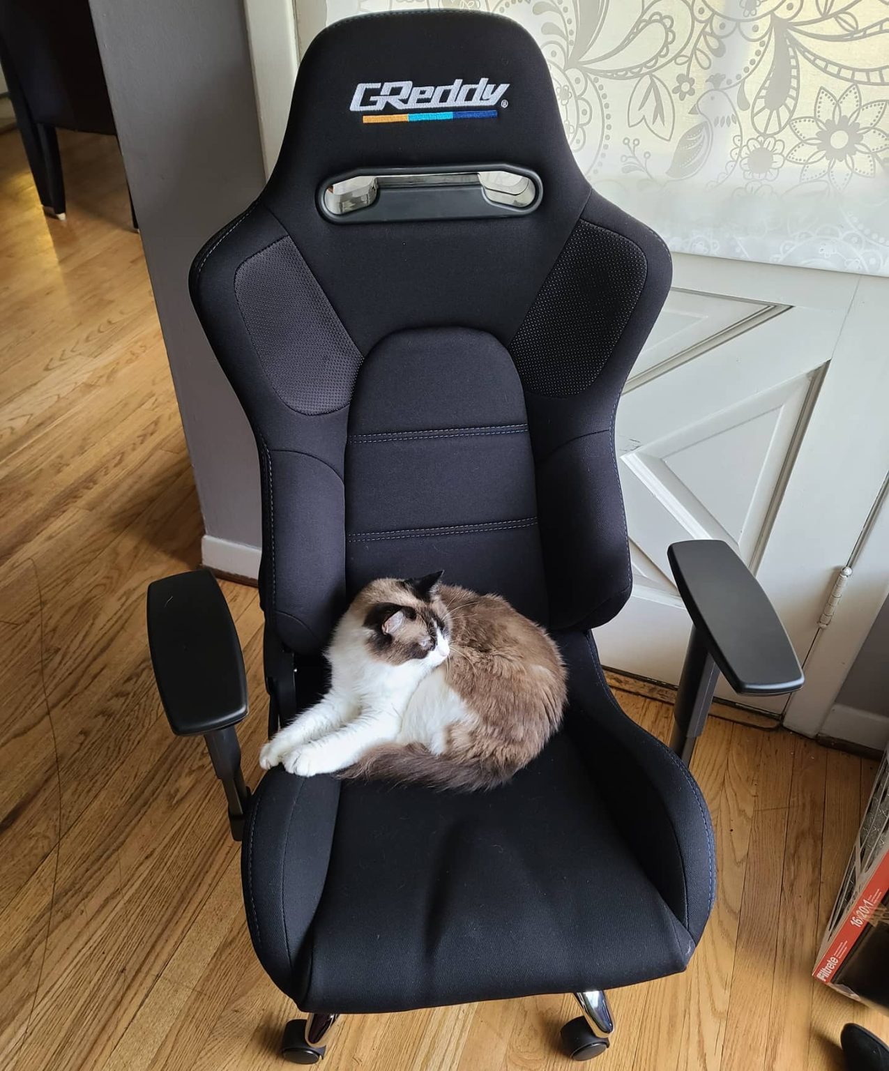 21 Top Computer Chair Designs 2025 - Elevate Your Workspace ...