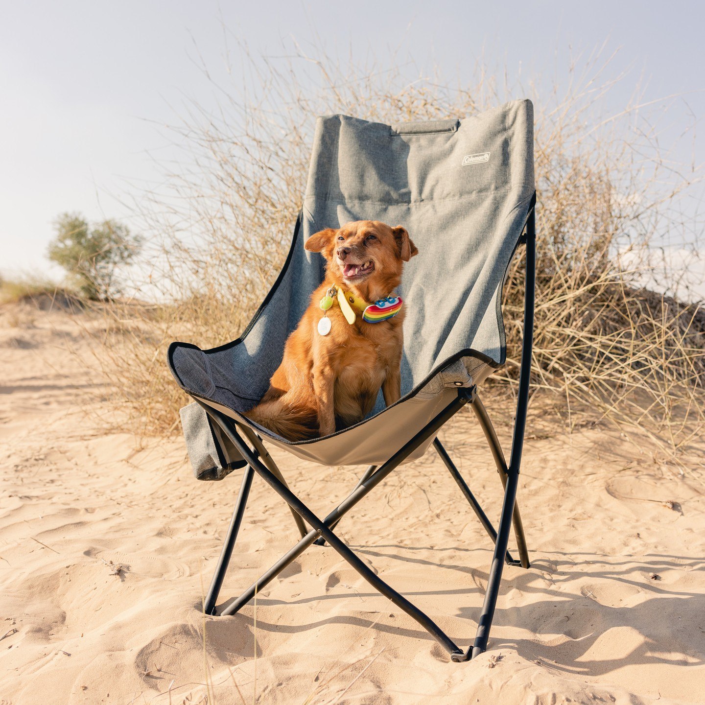 Explore Top 26 Camping Chair Designs for 2025 – Style Meets Comfort ...