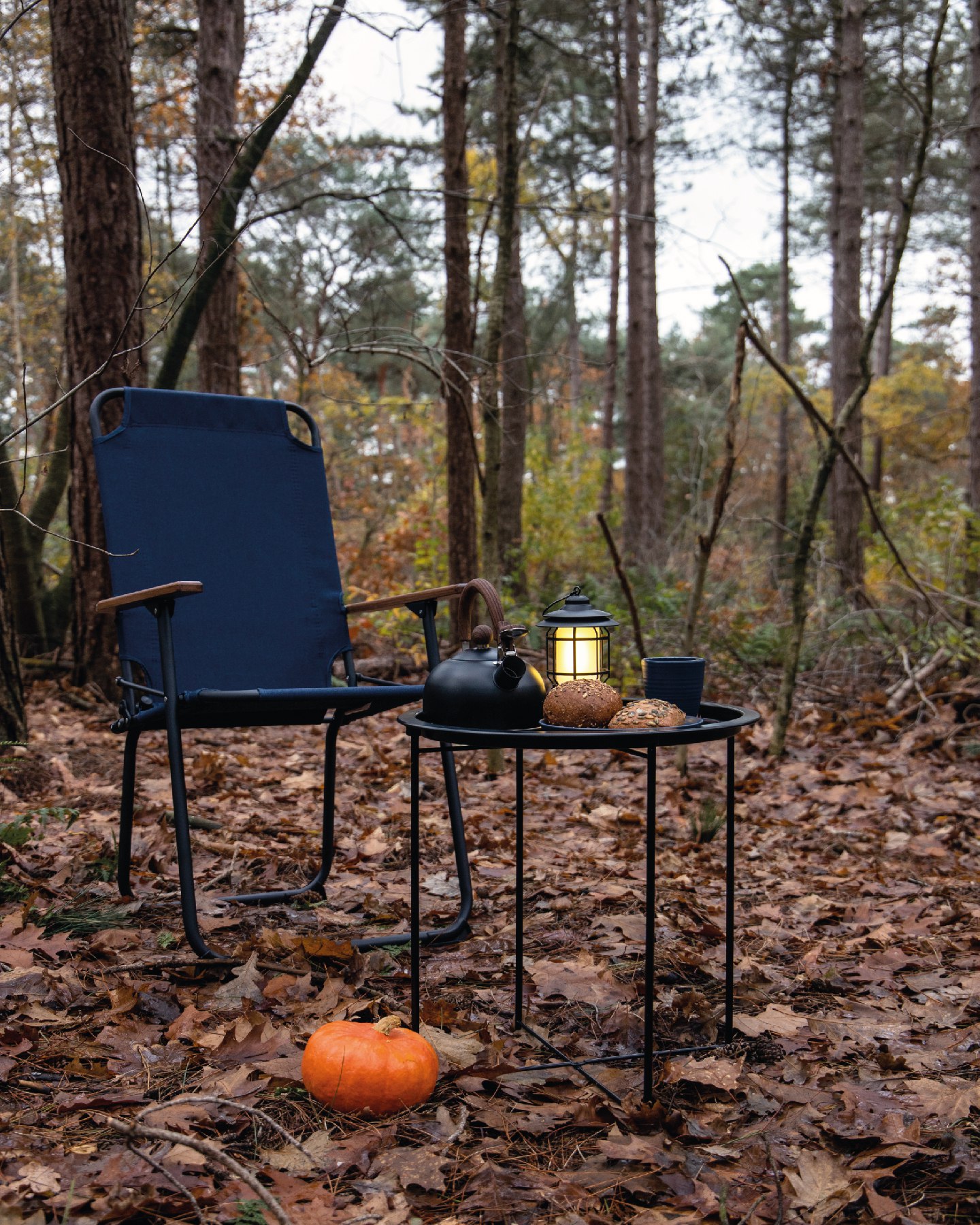Explore Top 26 Camping Chair Designs for 2025 – Style Meets Comfort ...
