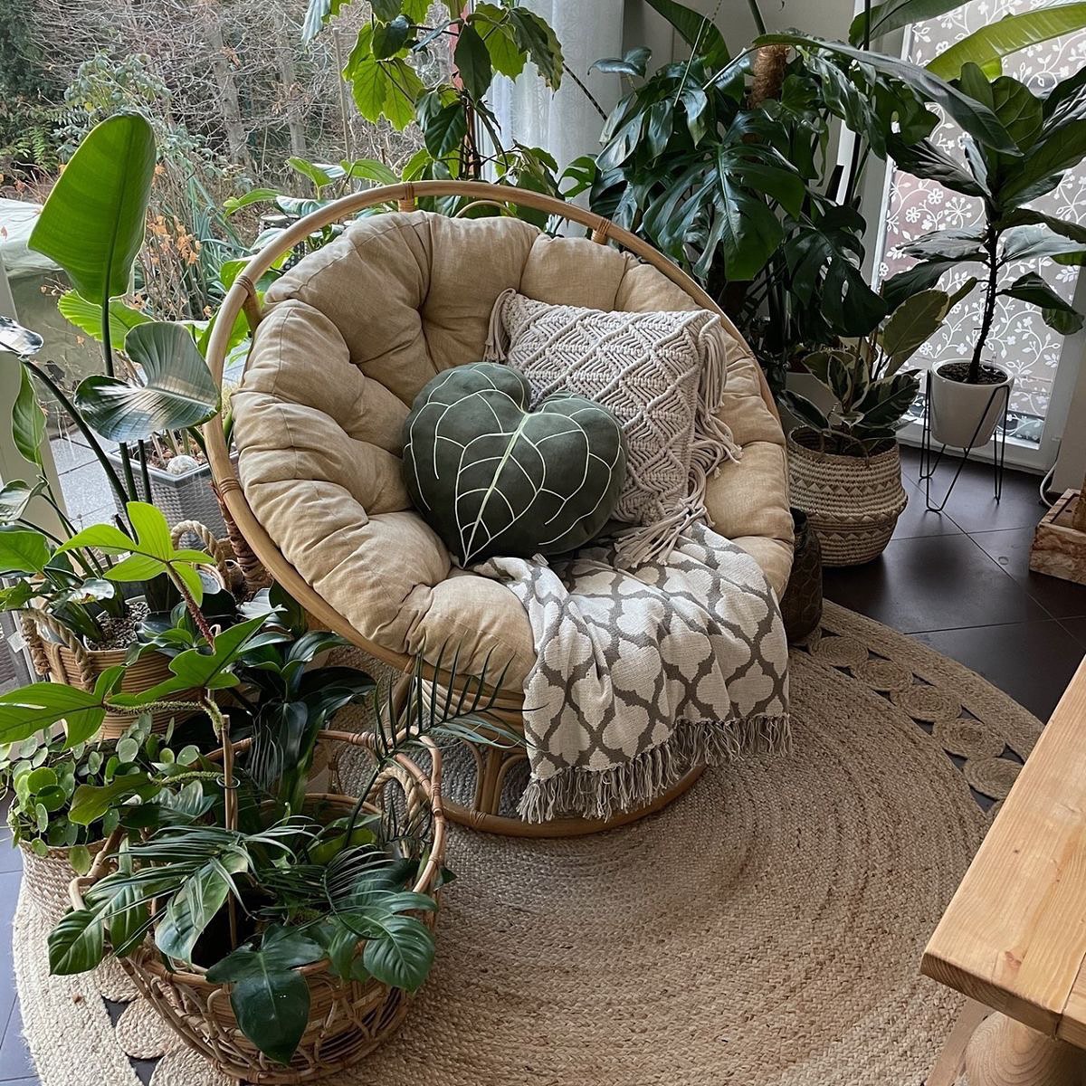 Explore 34 Papasan Chair 2025 Styles for Every Decor - Cozy to Chic ...
