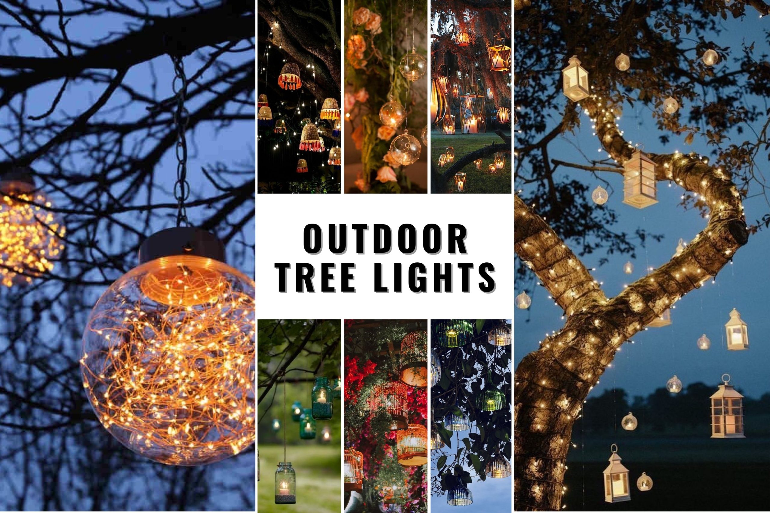 38 Outdoor Tree Lights to Transform Your Garden - Magical Lighting ...