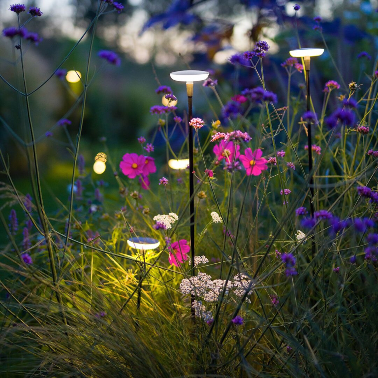 Top 30 Outdoor Lighting Landscape Designs for Magical Evenings ...