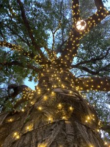 38 Outdoor Tree Lights to Transform Your Garden - Magical Lighting ...