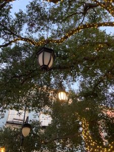 38 Outdoor Tree Lights to Transform Your Garden - Magical Lighting ...
