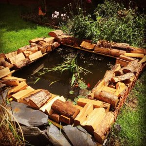 26 Pond Ideas to Transform Your Garden into a Lush Oasis - placeideal.com