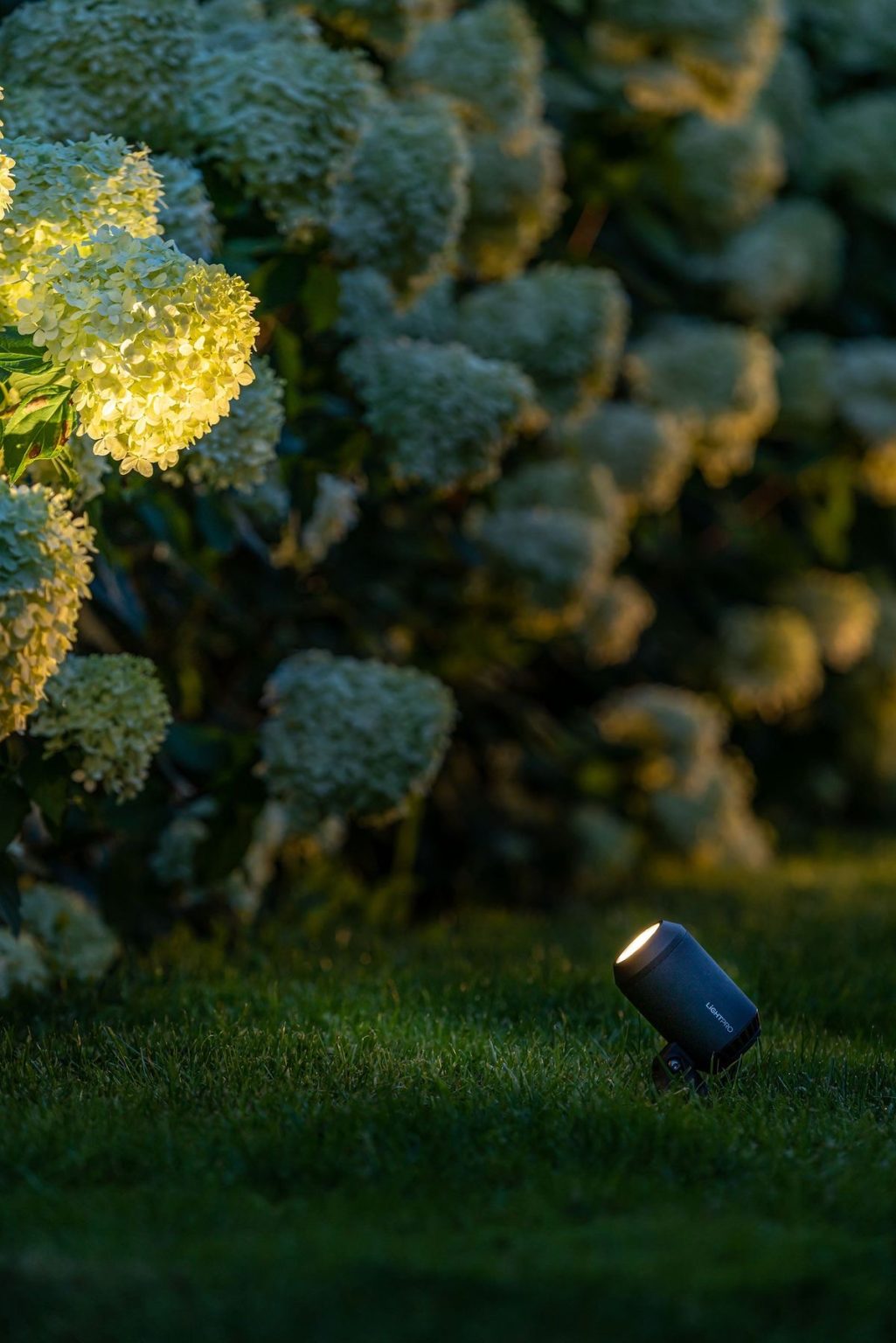 Top 30 Outdoor Lighting Landscape Designs for Magical Evenings ...