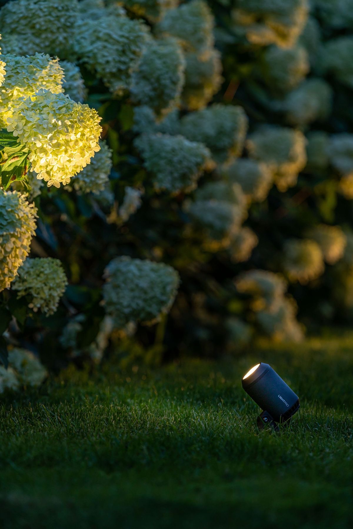 Top 30 Outdoor Lighting Landscape Designs for Magical Evenings ...