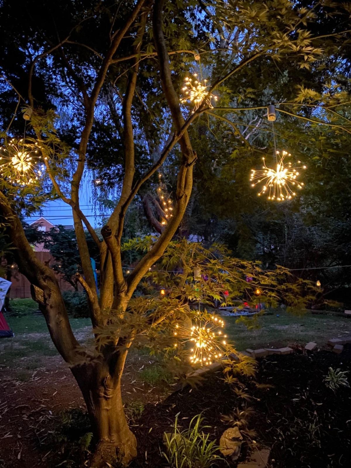 38 Outdoor Tree Lights to Transform Your Garden - Magical Lighting ...