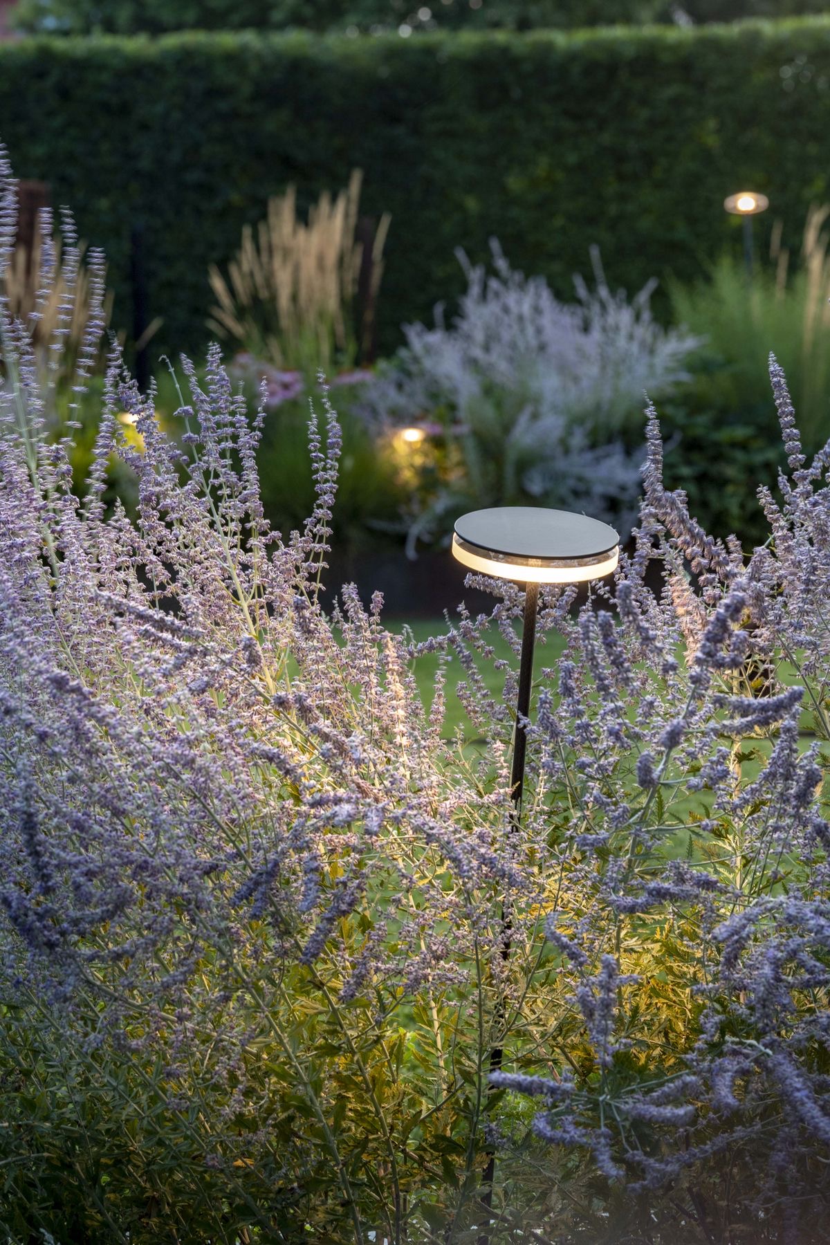 Top 30 Outdoor Lighting Landscape Designs for Magical Evenings ...