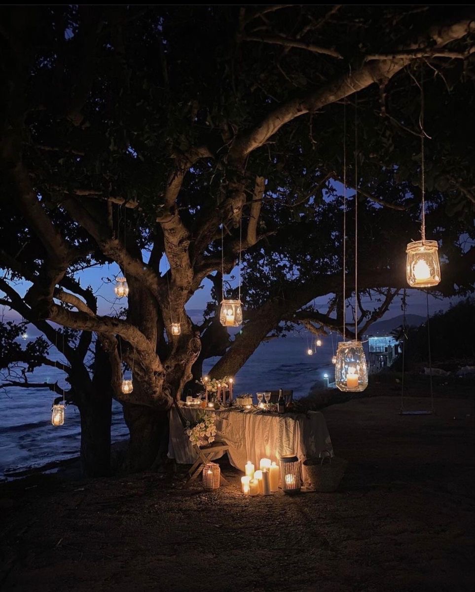 38 Outdoor Tree Lights to Transform Your Garden - Magical Lighting ...