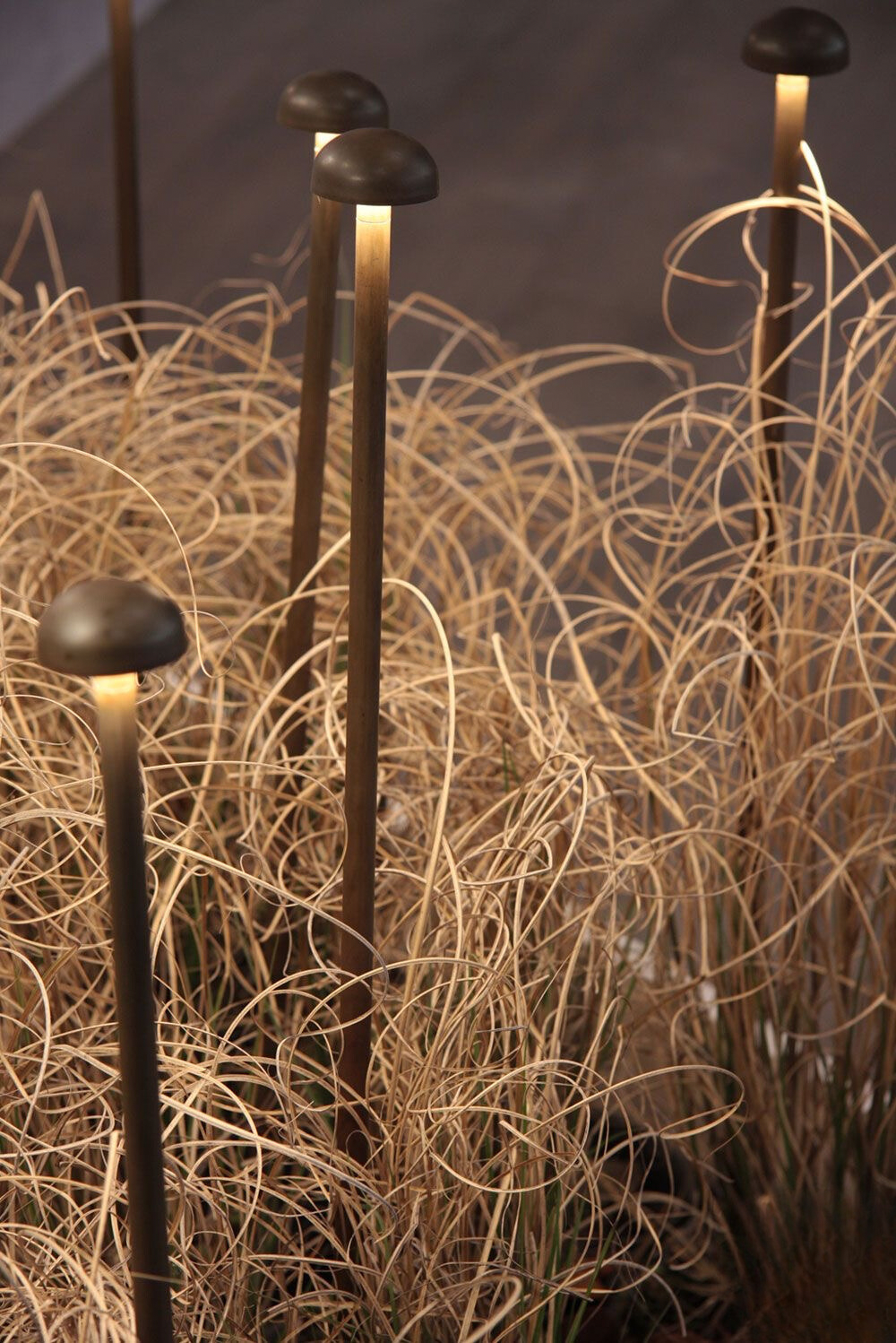Top 30 Outdoor Lighting Landscape Designs for Magical Evenings ...