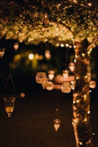 38 Outdoor Tree Lights to Transform Your Garden - Magical Lighting ...