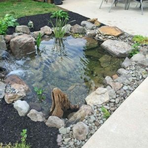 26 Pond Ideas to Transform Your Garden into a Lush Oasis - placeideal.com