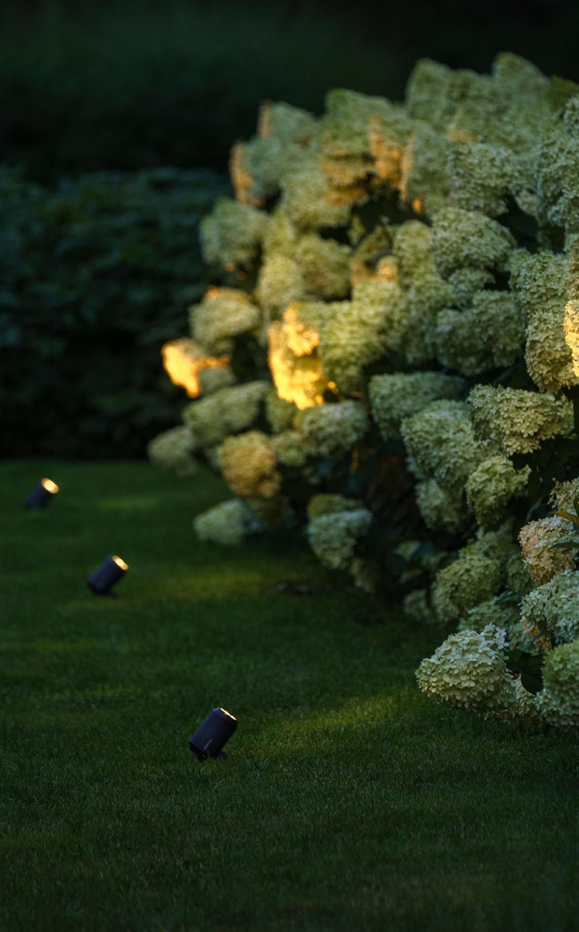 Top 30 Outdoor Lighting Landscape Designs for Magical Evenings ...