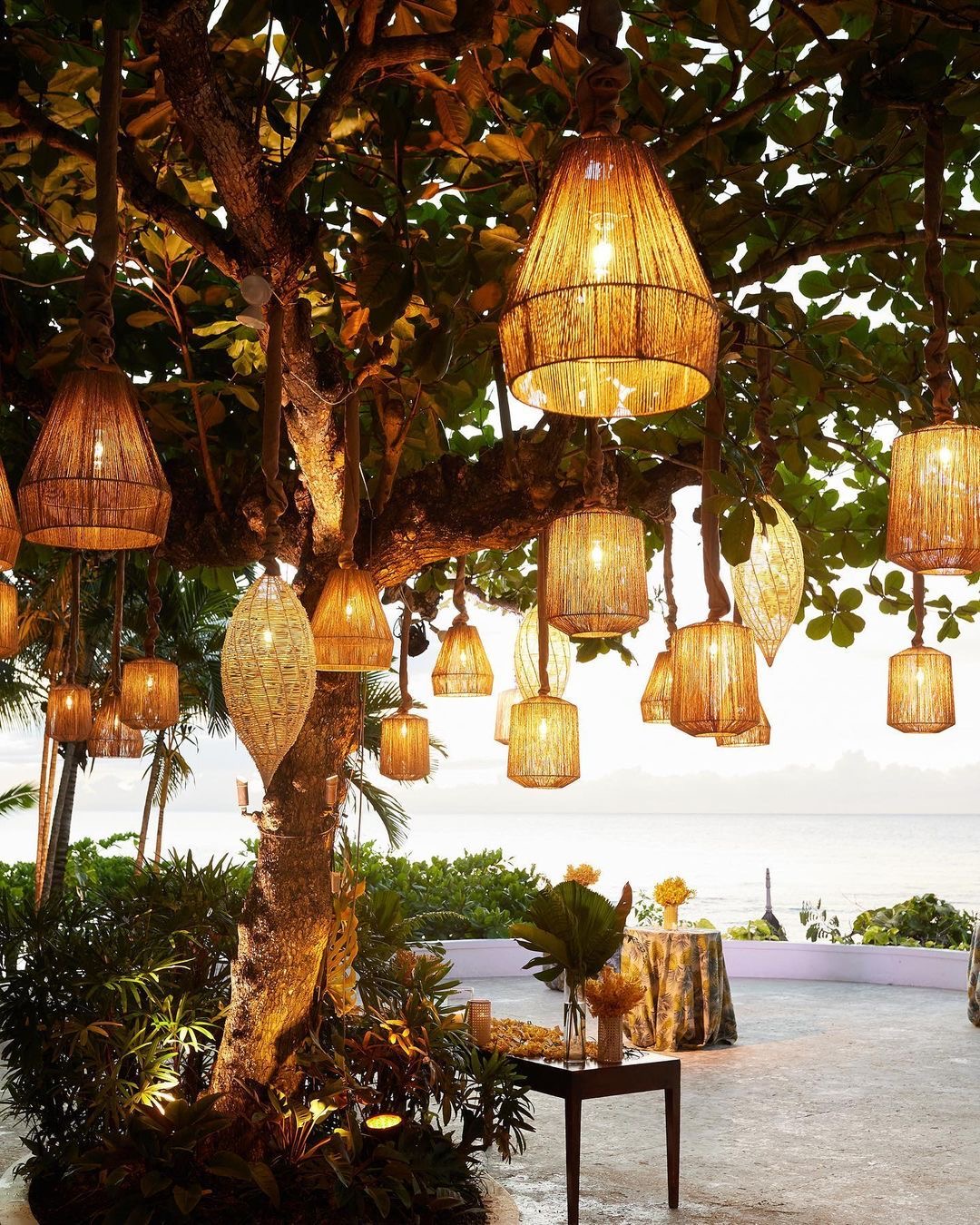 38 Outdoor Tree Lights to Transform Your Garden - Magical Lighting ...