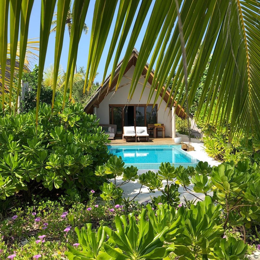 27 Pool Landscaping Ideas to Transform Your Backyard into a Paradise ...