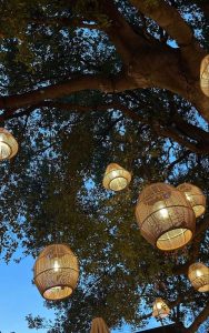 38 Outdoor Tree Lights to Transform Your Garden - Magical Lighting ...