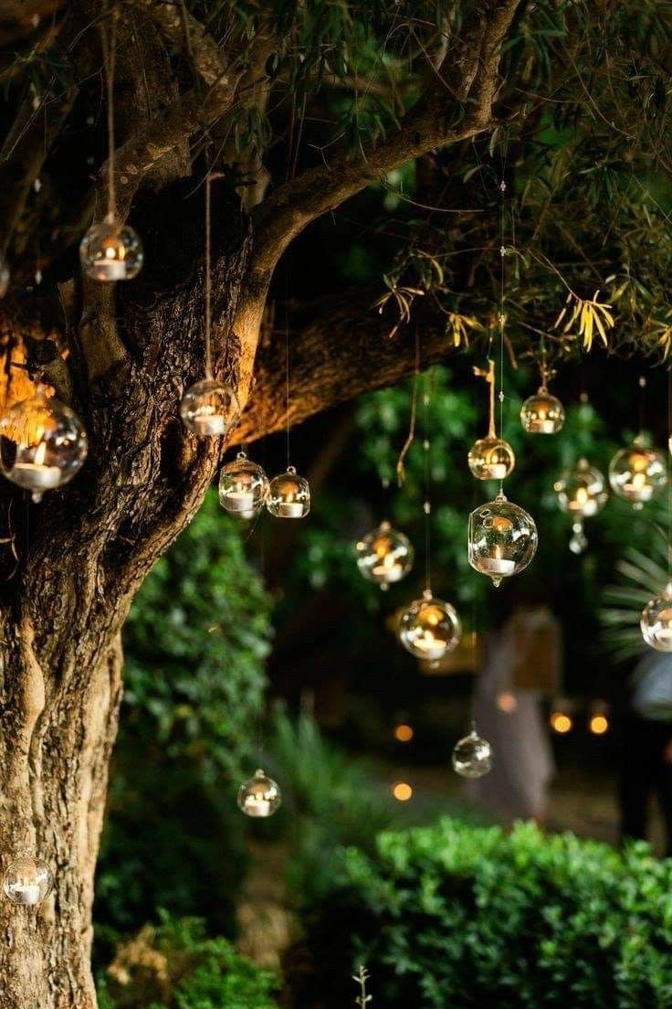 38 Outdoor Tree Lights to Transform Your Garden - Magical Lighting ...