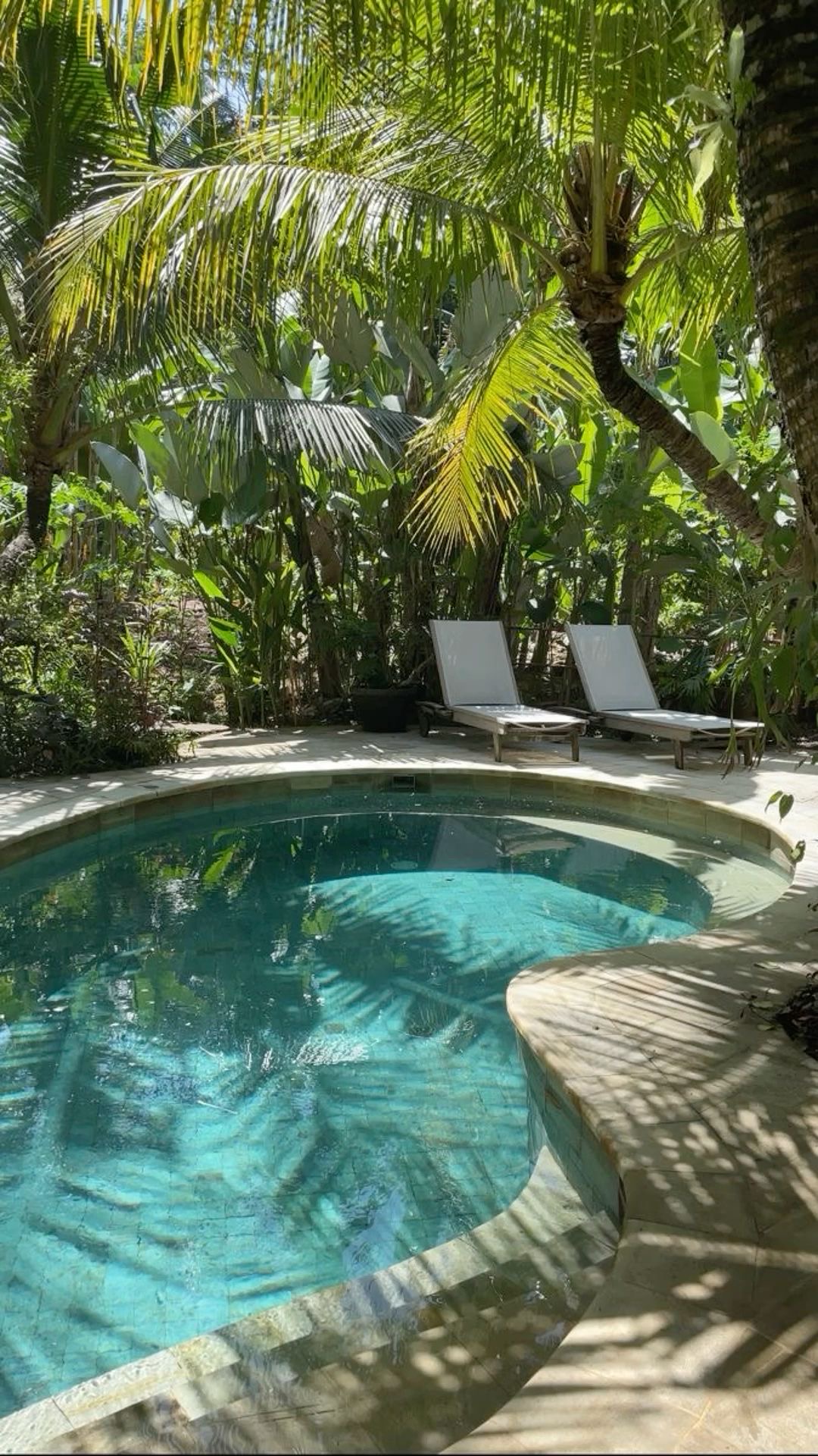 28 Pool Landscaping Ideas for a Serene Backyard Oasis | Enhance Your ...