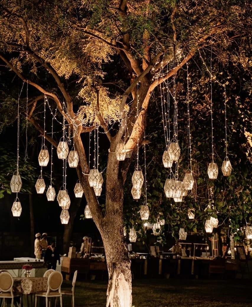 38 Outdoor Tree Lights to Transform Your Garden - Magical Lighting ...