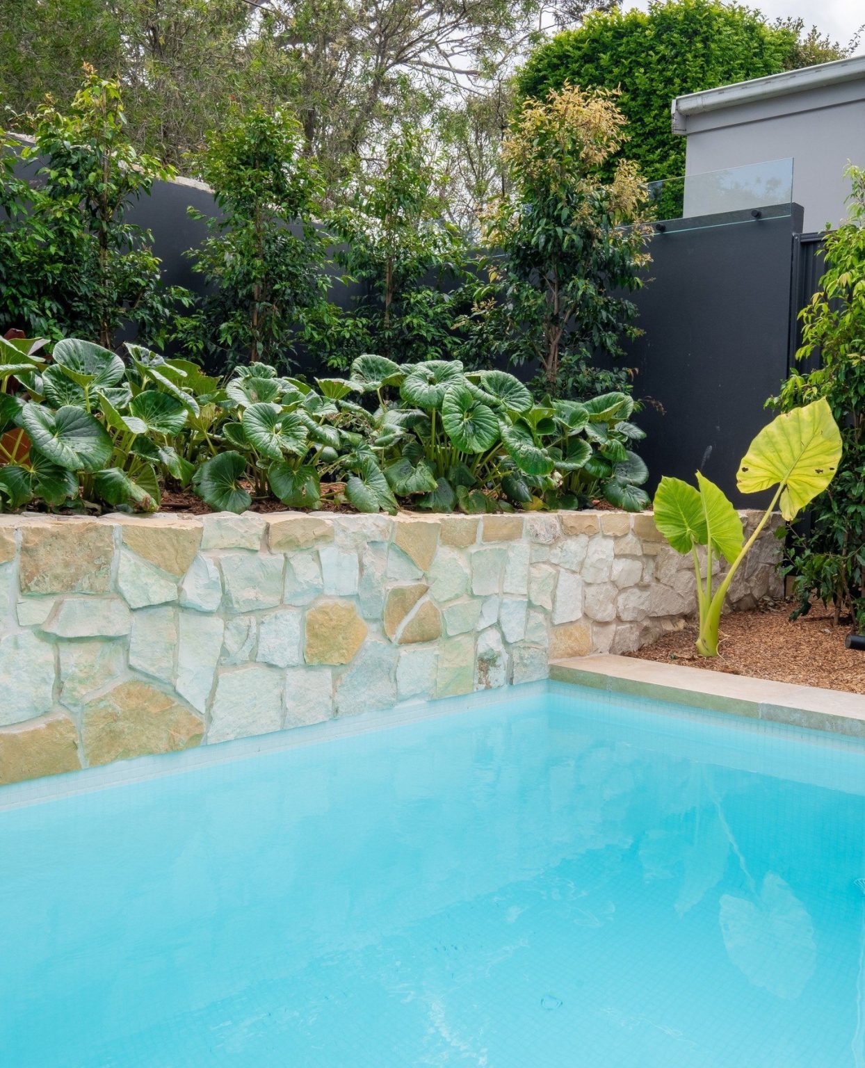 28 Pool Landscaping Ideas for a Serene Backyard Oasis | Enhance Your ...