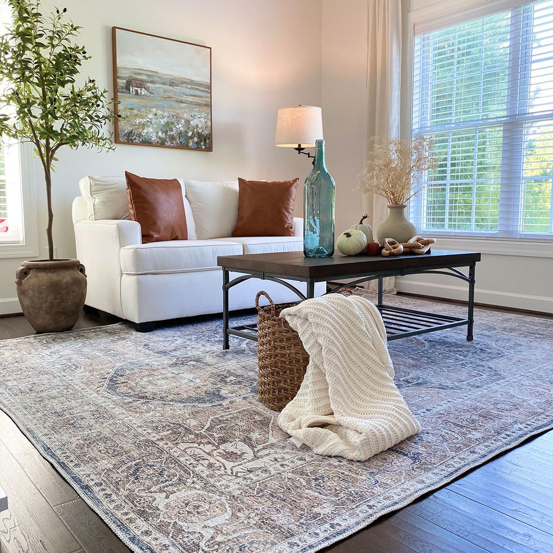 30 Rugs in Living Room: Elevate Your Home with Cozy Chic Designs ...