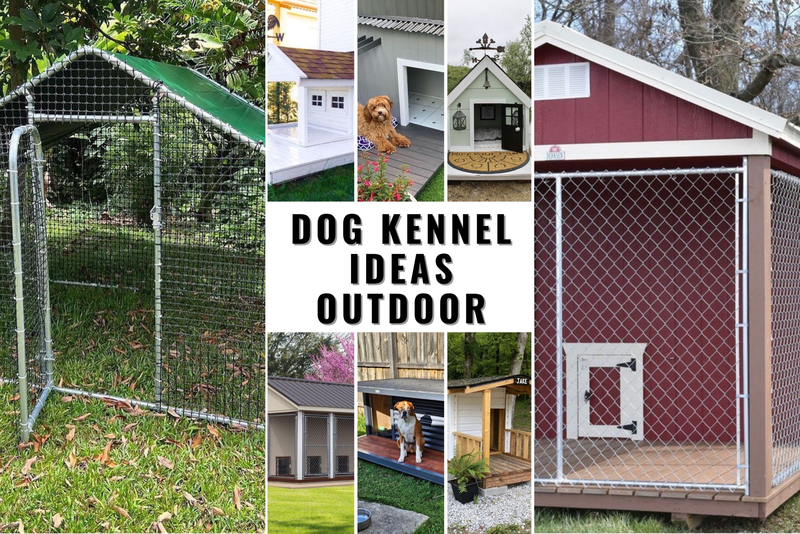 28 Dog Kennel Ideas Outdoor: Stylish and Comfortable Kennels for Your ...