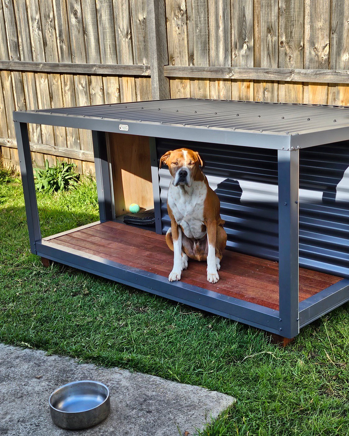 28 Dog Kennel Ideas Outdoor: Stylish and Comfortable Kennels for Your ...