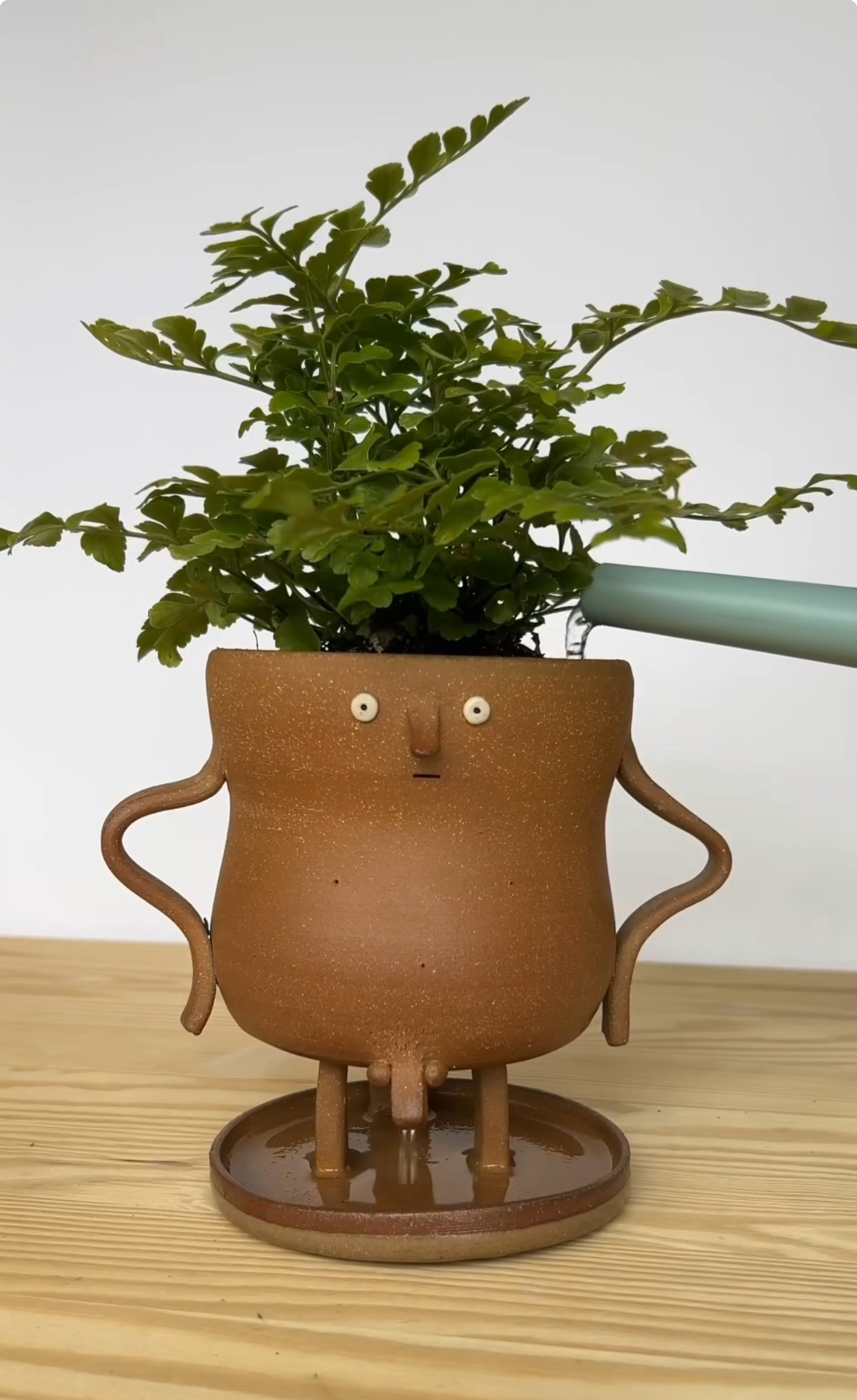 29 Houseplant Pot Ideas for Modern and Vintage Decor - placeideal.com