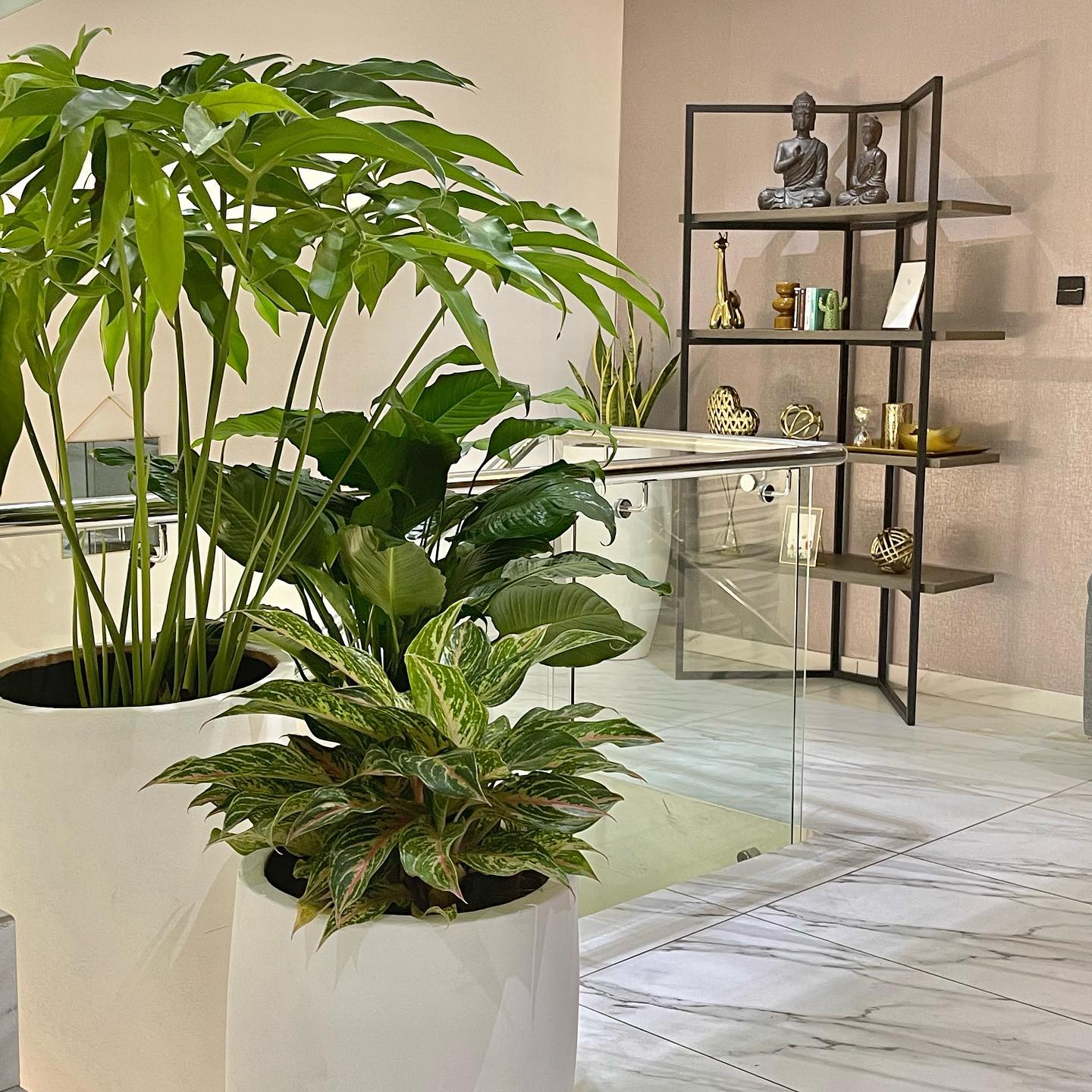 31 Houseplants Decor Ideas: Transform Your Home with Stunning Indoor ...