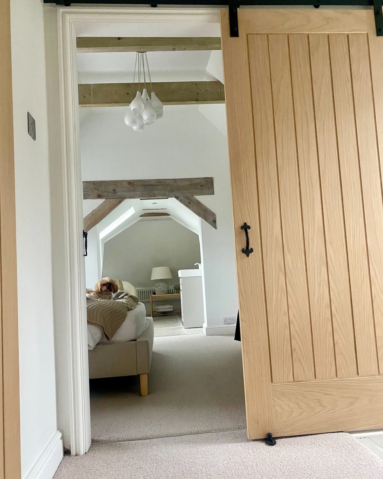 Transform Your Home: 35 Barn Doors in the House for Modern, Rustic, and ...