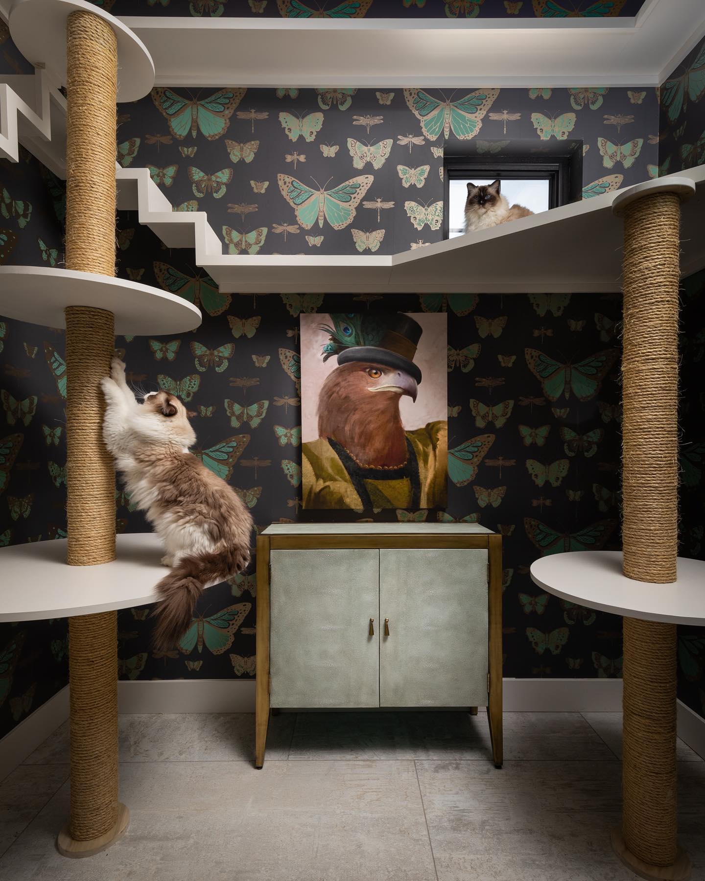 24 Pet Bedroom Ideas: Cozy and Stylish Spaces for Your Furry Friends ...