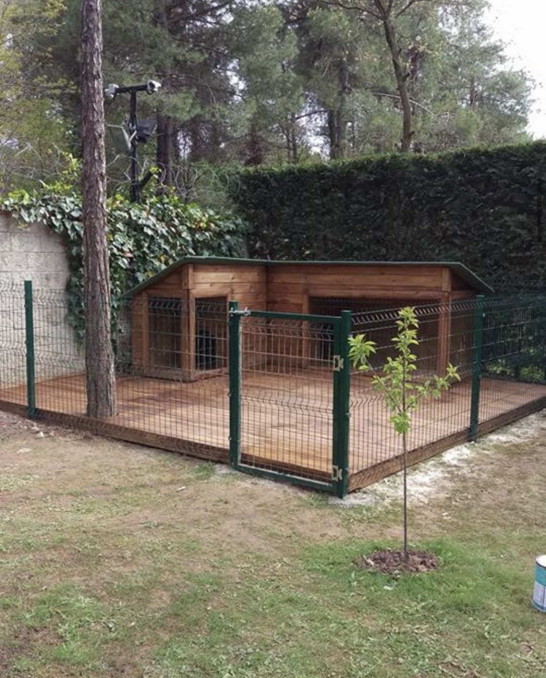 28 Dog Kennel Ideas Outdoor: Stylish and Comfortable Kennels for Your ...