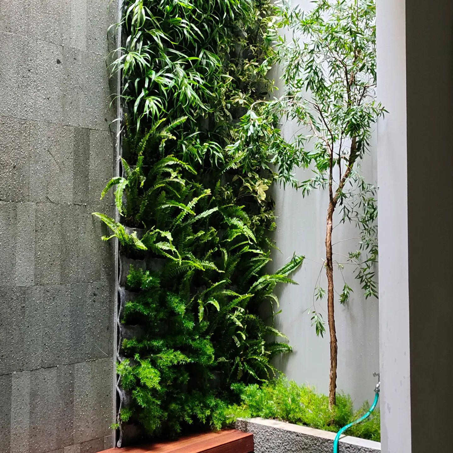 29 Vertical Garden Ideas to Transform Your Small Spaces into Green ...
