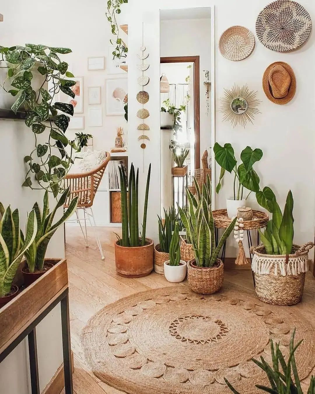 31 Houseplants Decor Ideas: Transform Your Home with Stunning Indoor ...