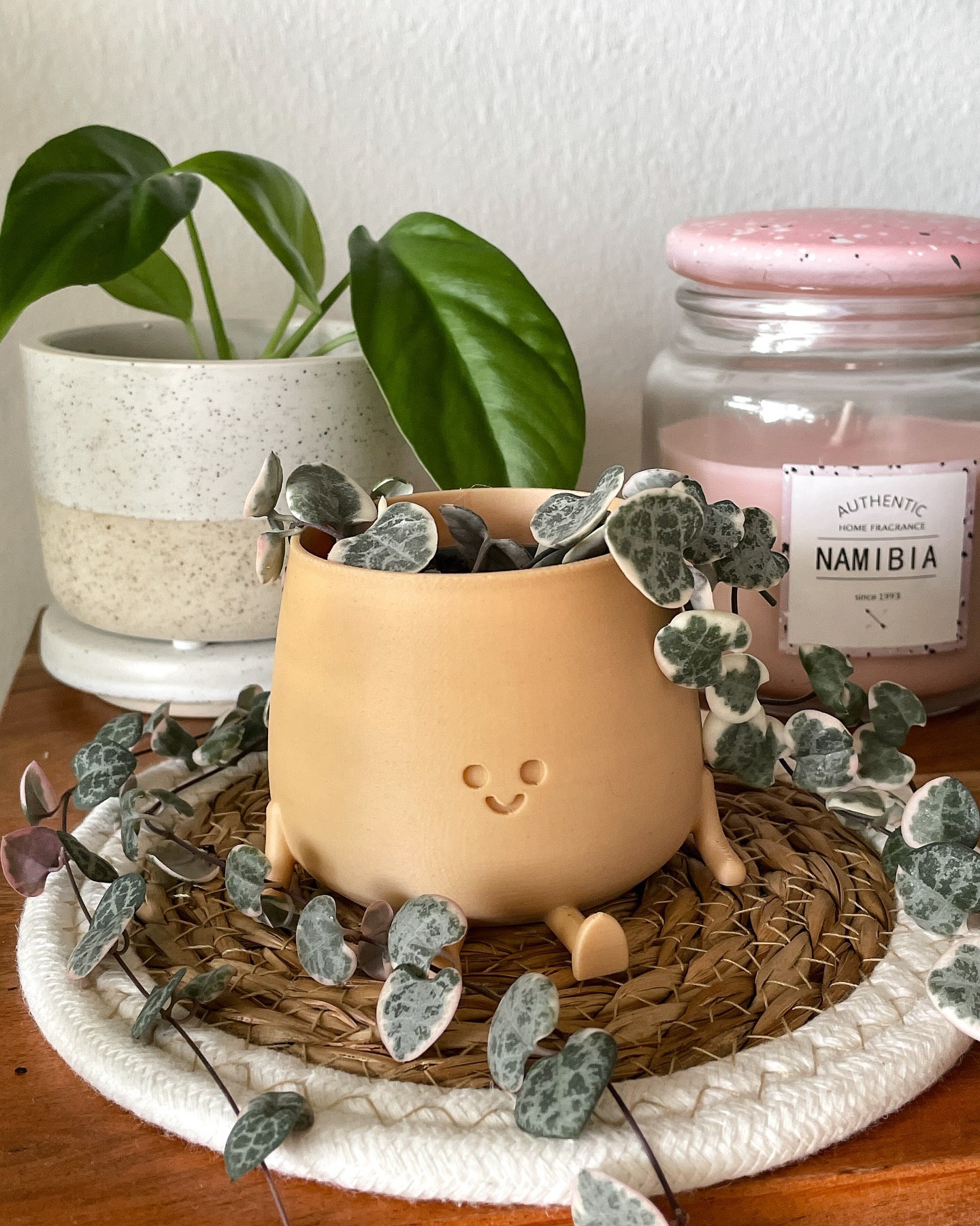 29 Houseplant Pot Ideas for Modern and Vintage Decor - placeideal.com