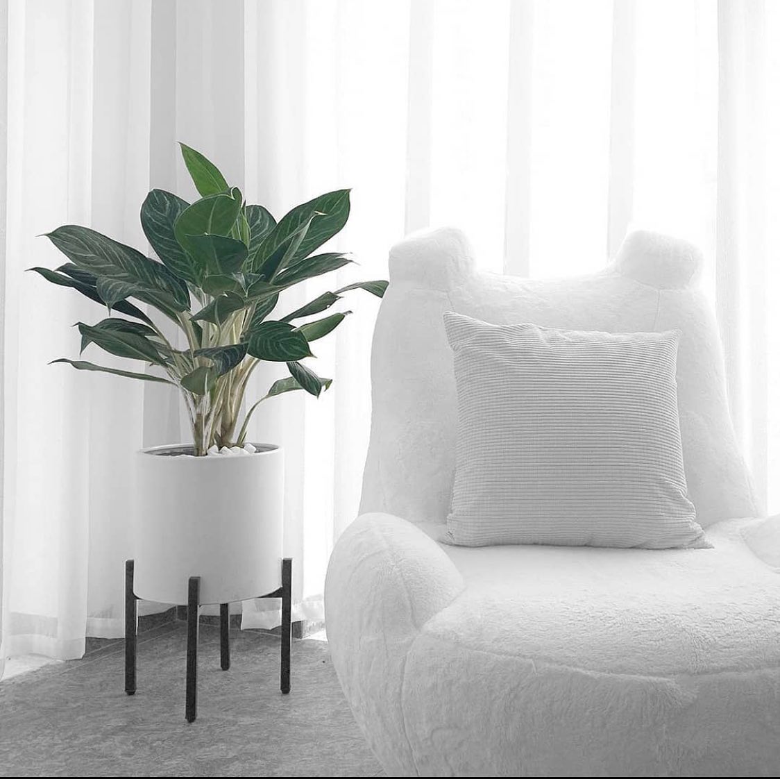 29 Houseplant Pot Ideas for Modern and Vintage Decor - placeideal.com