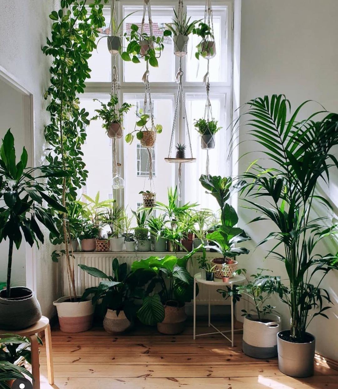 31 Houseplants Decor Ideas: Transform Your Home with Stunning Indoor ...