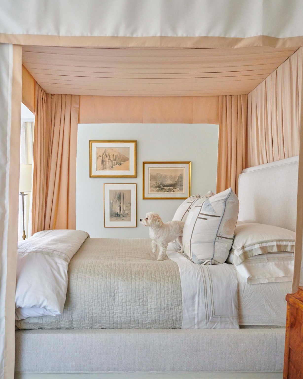 33 Canopy Bed Design Ideas: Transform Your Bedroom into a Luxurious ...