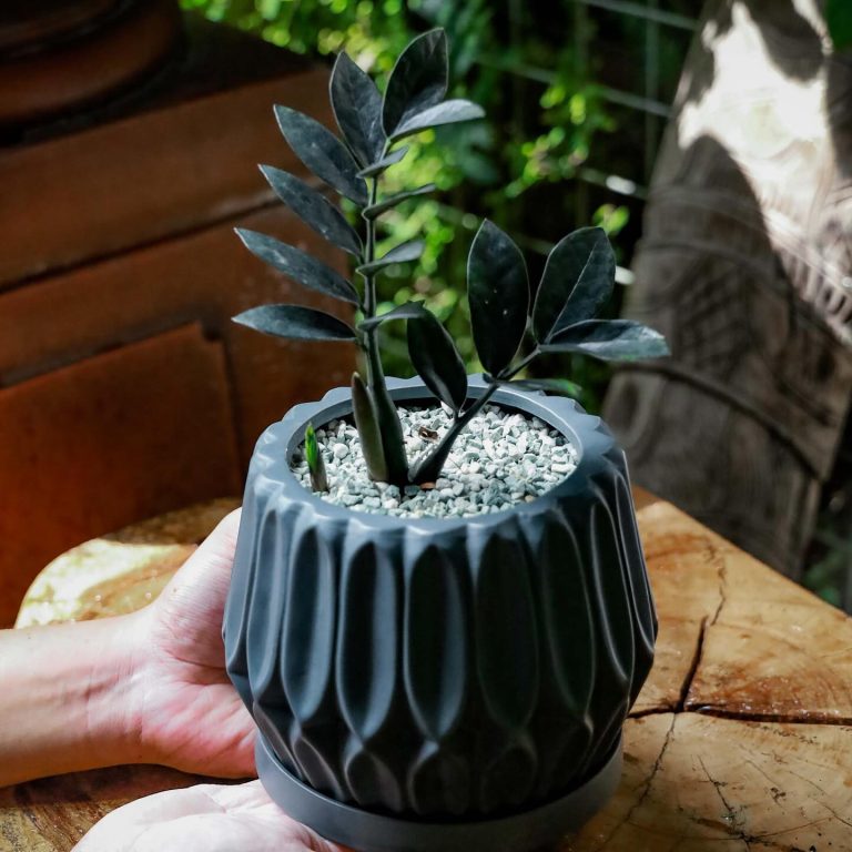 29 Houseplant Pot Ideas for Modern and Vintage Decor - placeideal.com