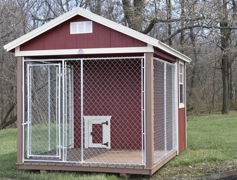 28 Dog Kennel Ideas Outdoor: Stylish and Comfortable Kennels for Your ...