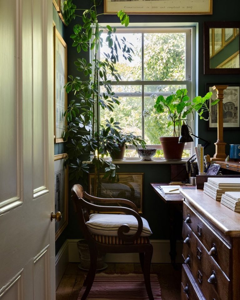 31 Houseplants Decor Ideas: Transform Your Home with Stunning Indoor ...