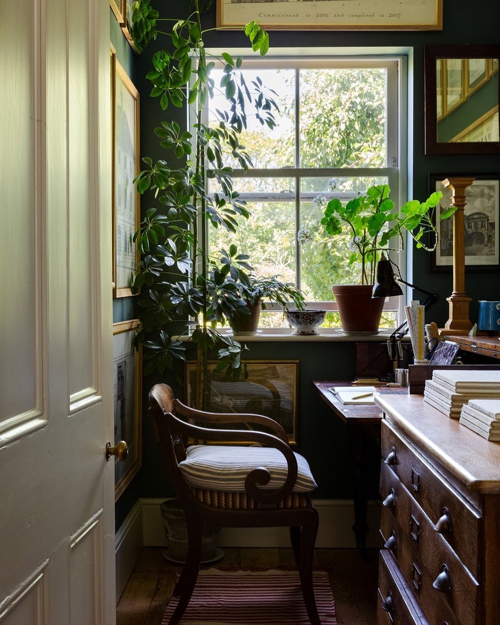 31 Houseplants Decor Ideas: Transform Your Home with Stunning Indoor ...