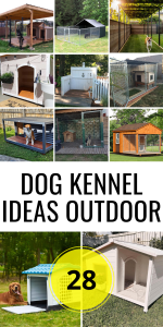 28 Dog Kennel Ideas Outdoor: Stylish and Comfortable Kennels for Your ...