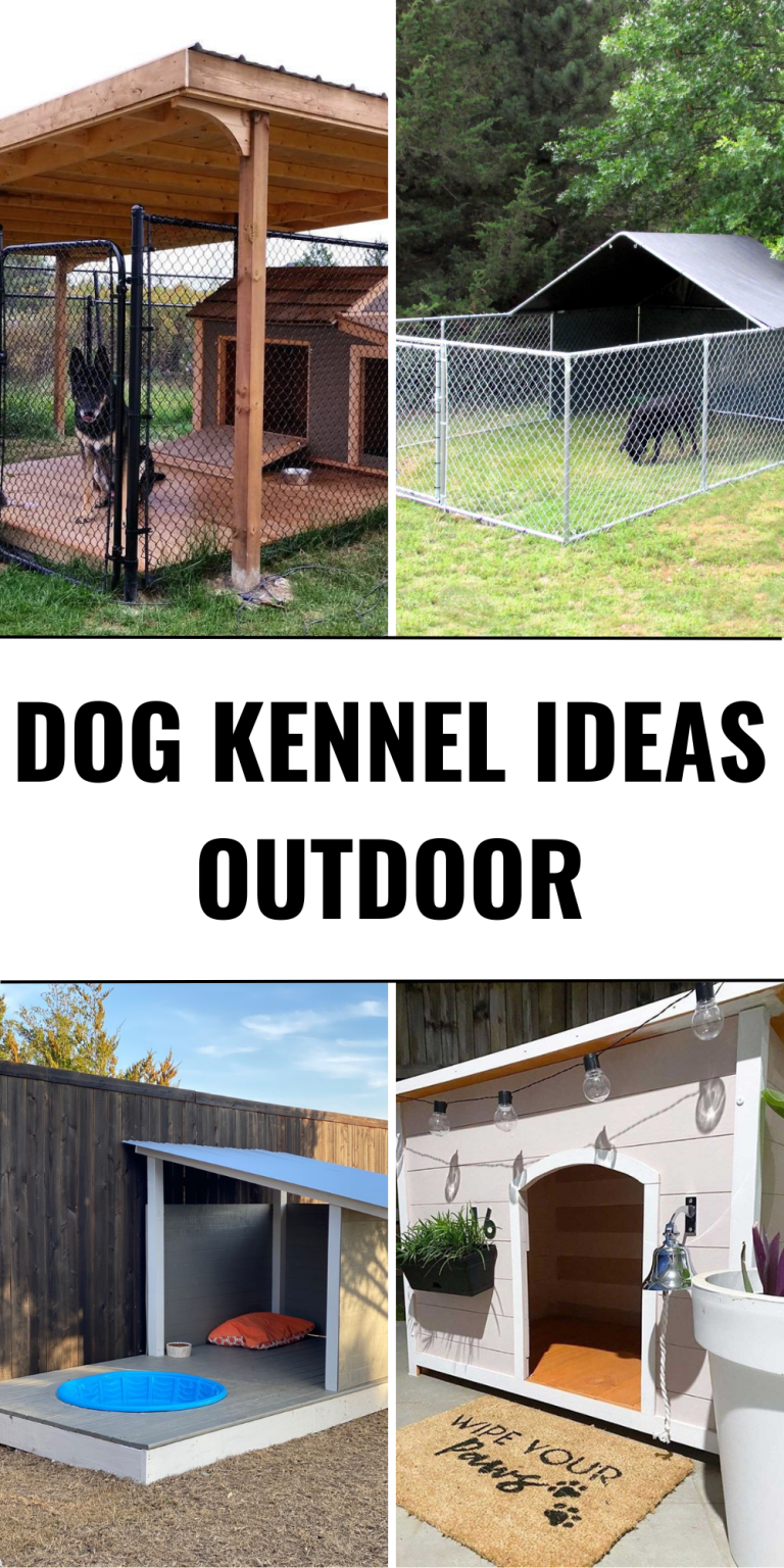 23 Dog Kennel Ideas Outdoor: Stylish and Comfortable Kennels for Your ...