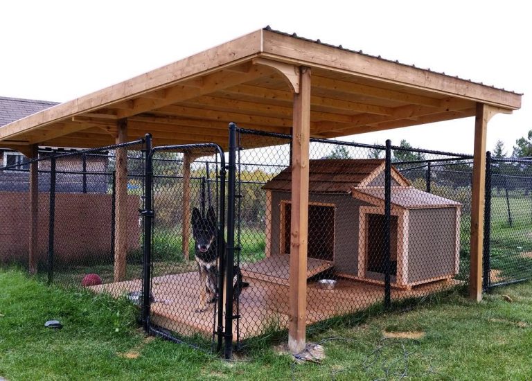 28 Dog Kennel Ideas Outdoor: Stylish and Comfortable Kennels for Your Furry Friends - placeideal.com