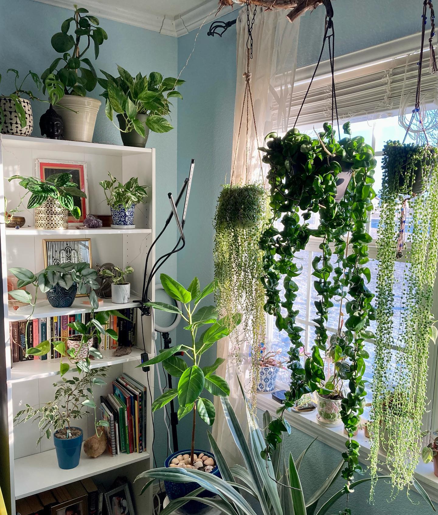 31 Houseplants Decor Ideas: Transform Your Home with Stunning Indoor ...