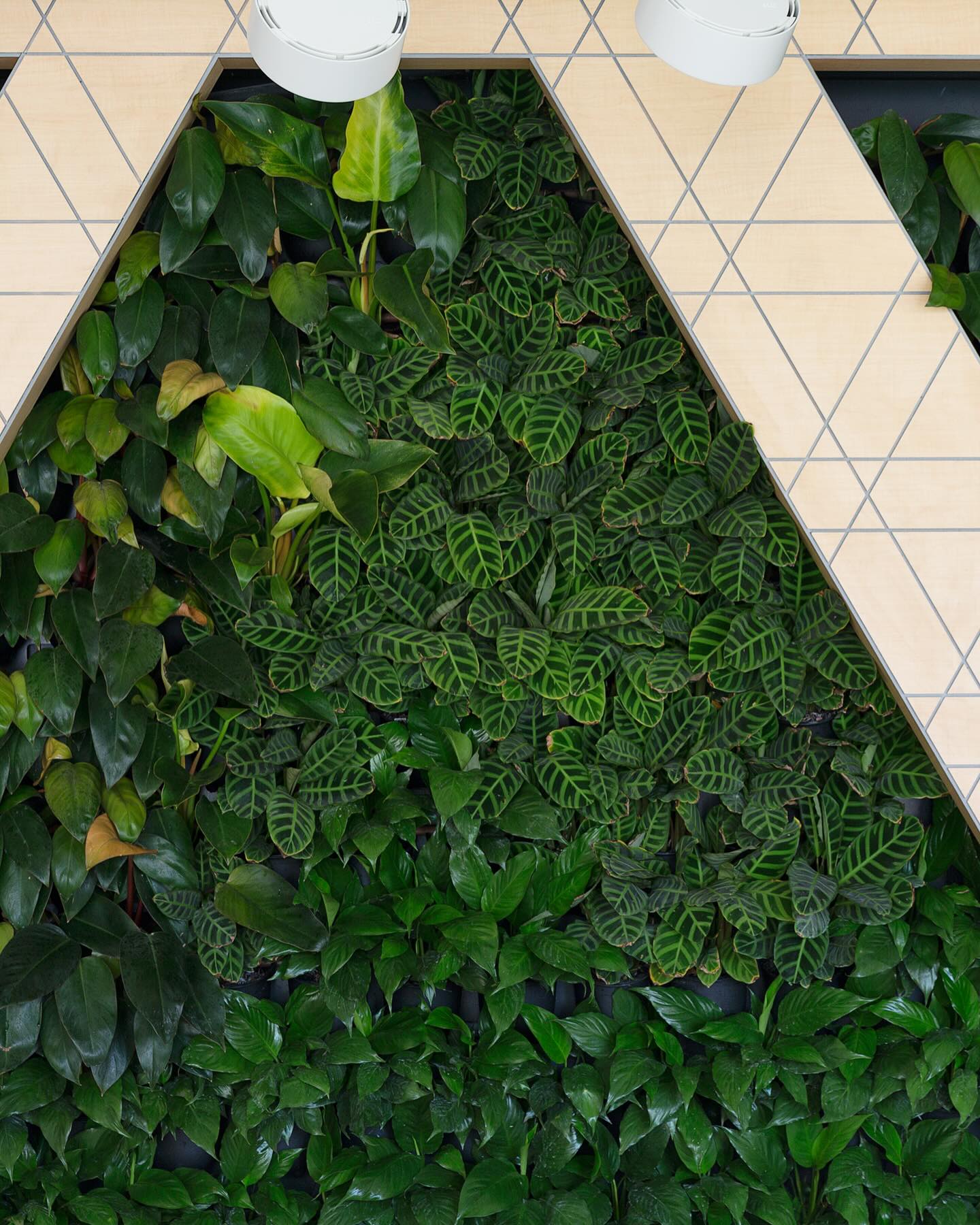 29 Vertical Garden Ideas to Transform Your Small Spaces into Green ...