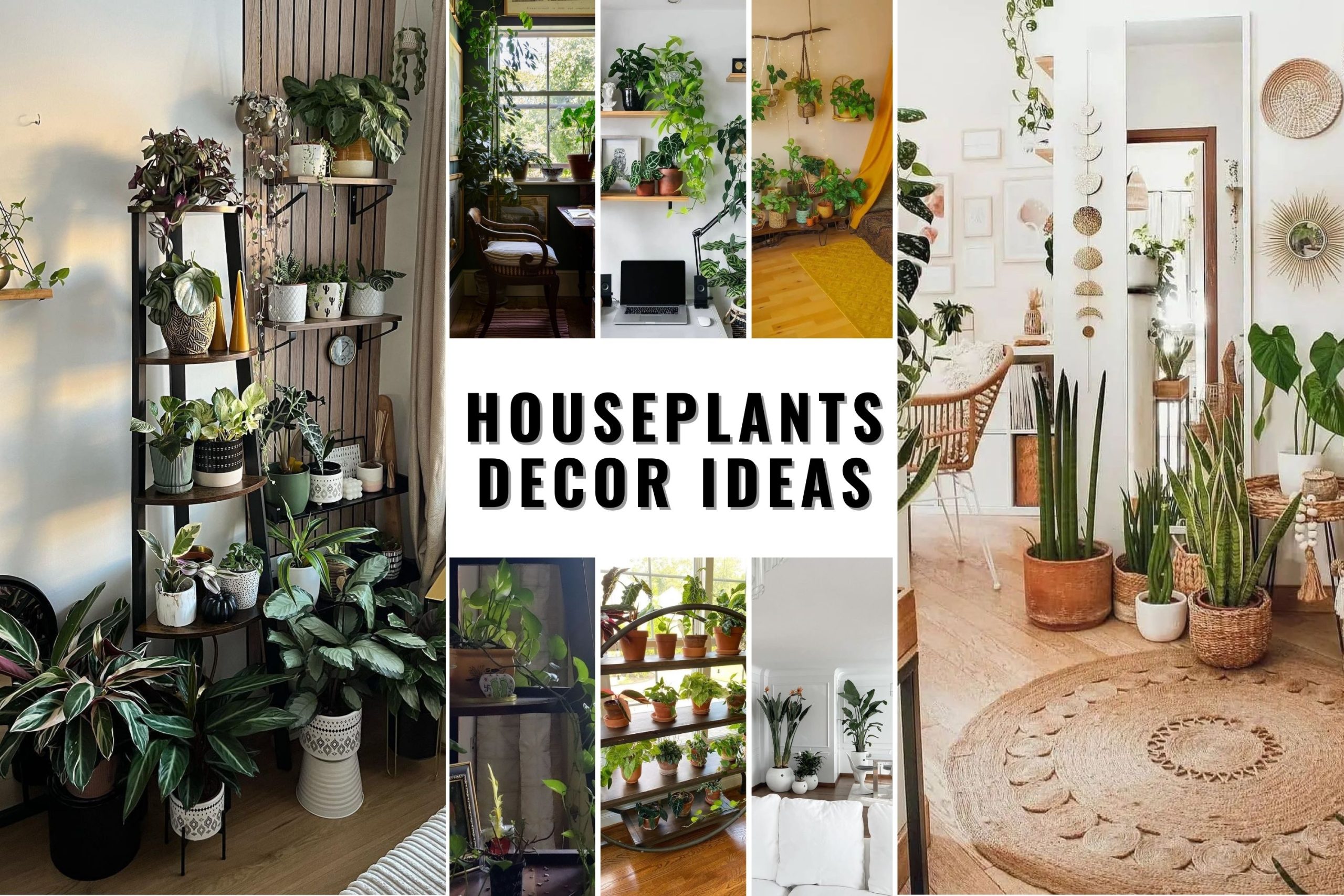 31 Houseplants Decor Ideas: Transform Your Home with Stunning Indoor ...