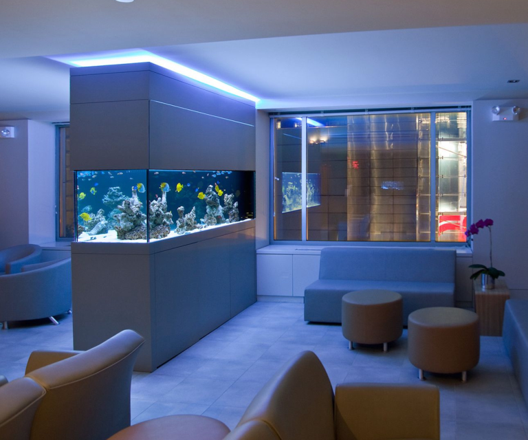23 Fish Tank Ideas Living Room: Modern, Unique, and Aesthetic Designs ...